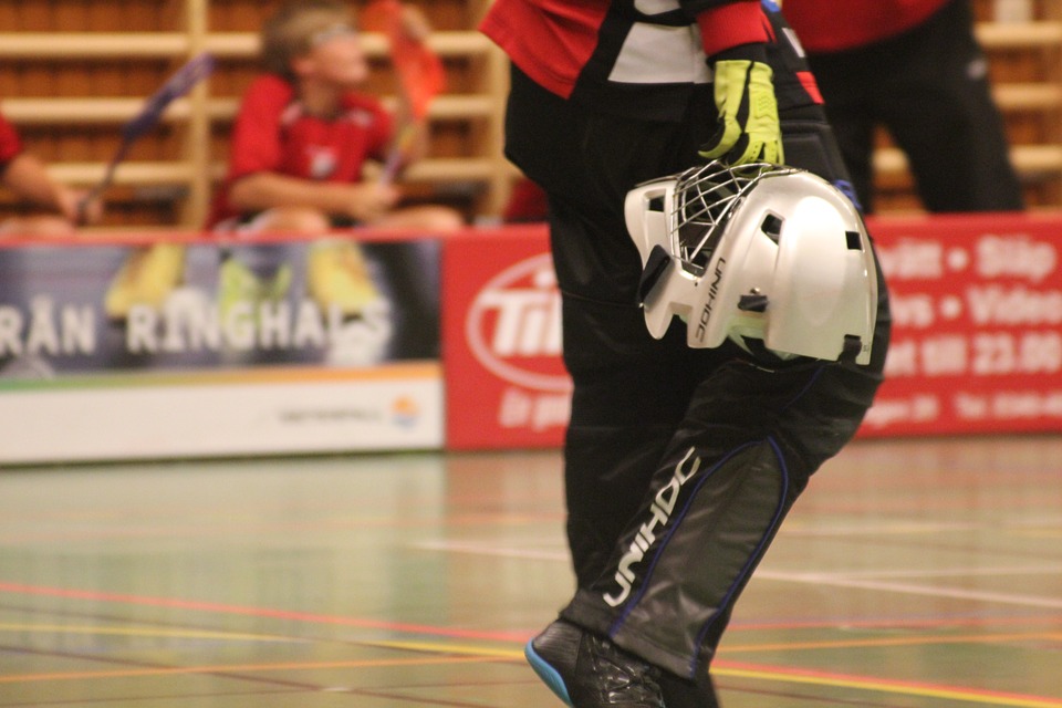 Svenska Innebandyförbundet – Wfc2009.se